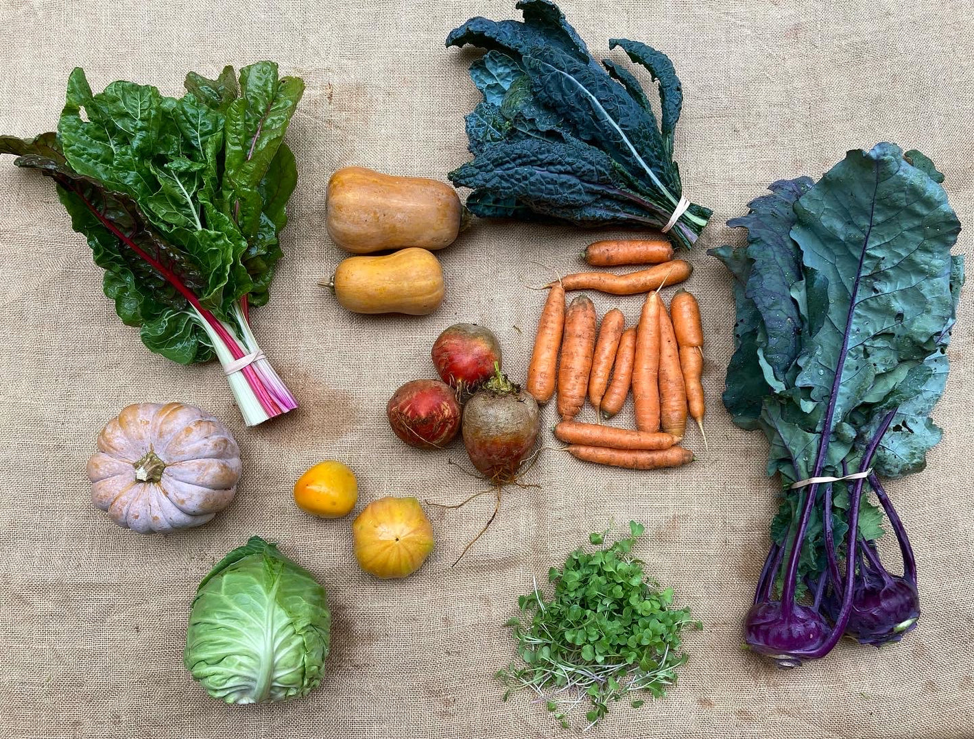 The Good Food Farm ~ Soil Health • Nutrient Density • Taste